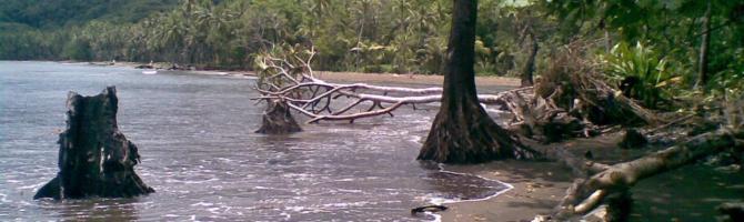 Alarming sea levels in Solomon Islands | Pacific | postguam.com