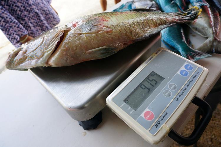 Culturally Livin Natives hosts Sea Slayer 2021 fishing competition ...