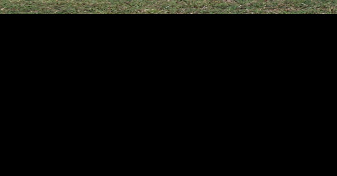 Kids enjoy Easter day | Guam News | postguam.com