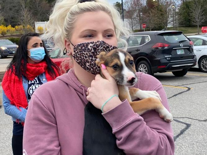 Boonie dogs and puppies welcomed to new homes stateside | Local News ...