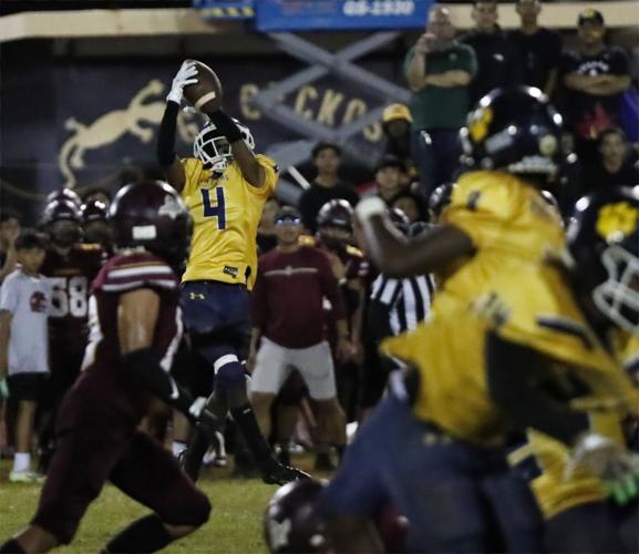 Friars shut out Panthers 43-0 for 8th straight championship | Local ...