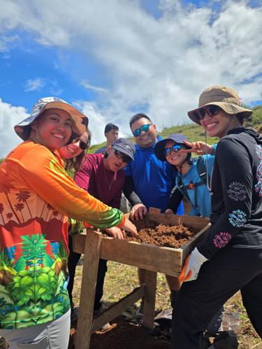 5-year labor of love: UOG plants endangered fadang to preserve ancient ...