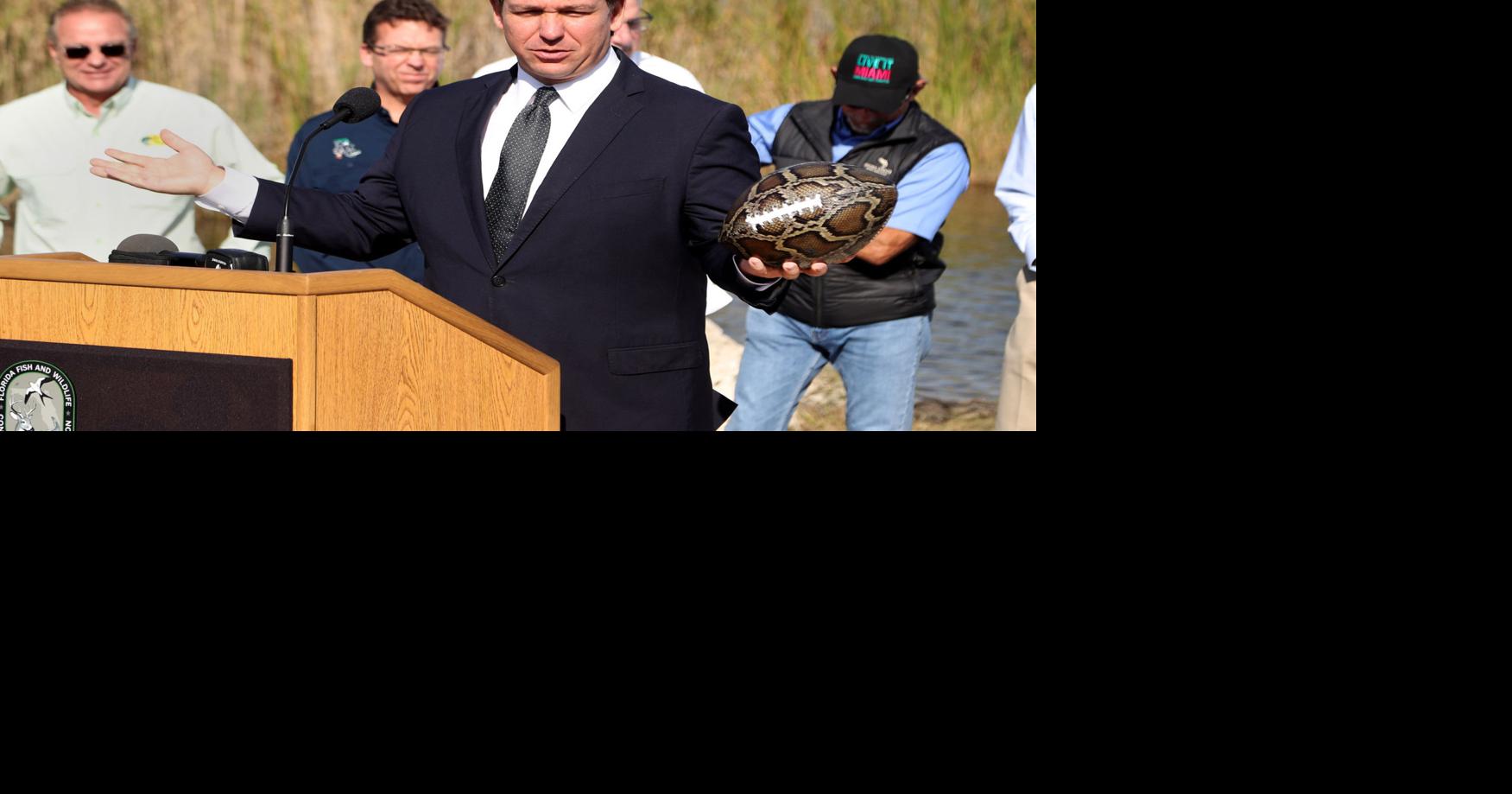 PETA: 2020 Python Bowl 'glorifies' snake slaughter | Nation | postguam.com