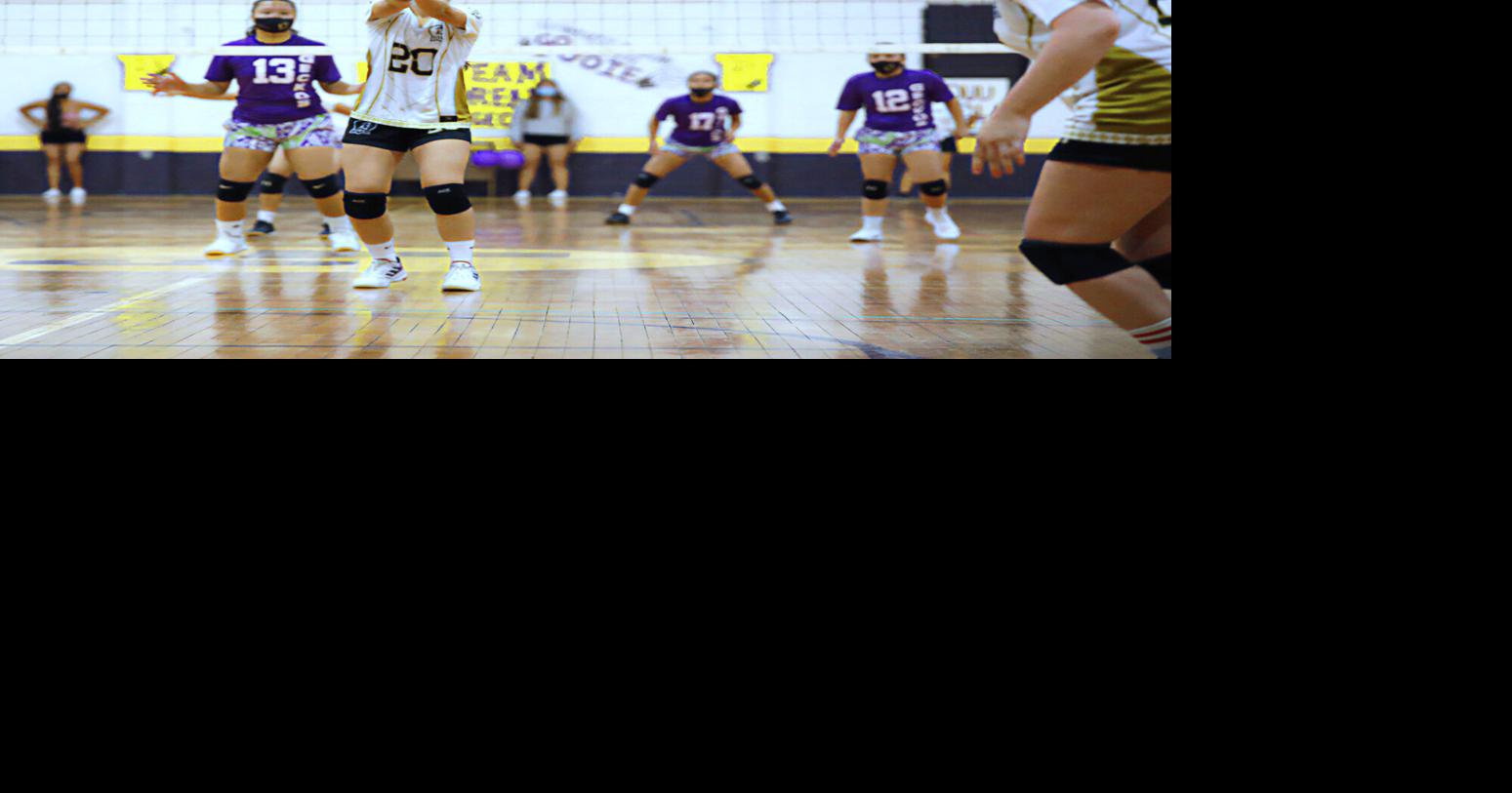 Undefeated Geckos cap off perfect volleyball season with a championship ...