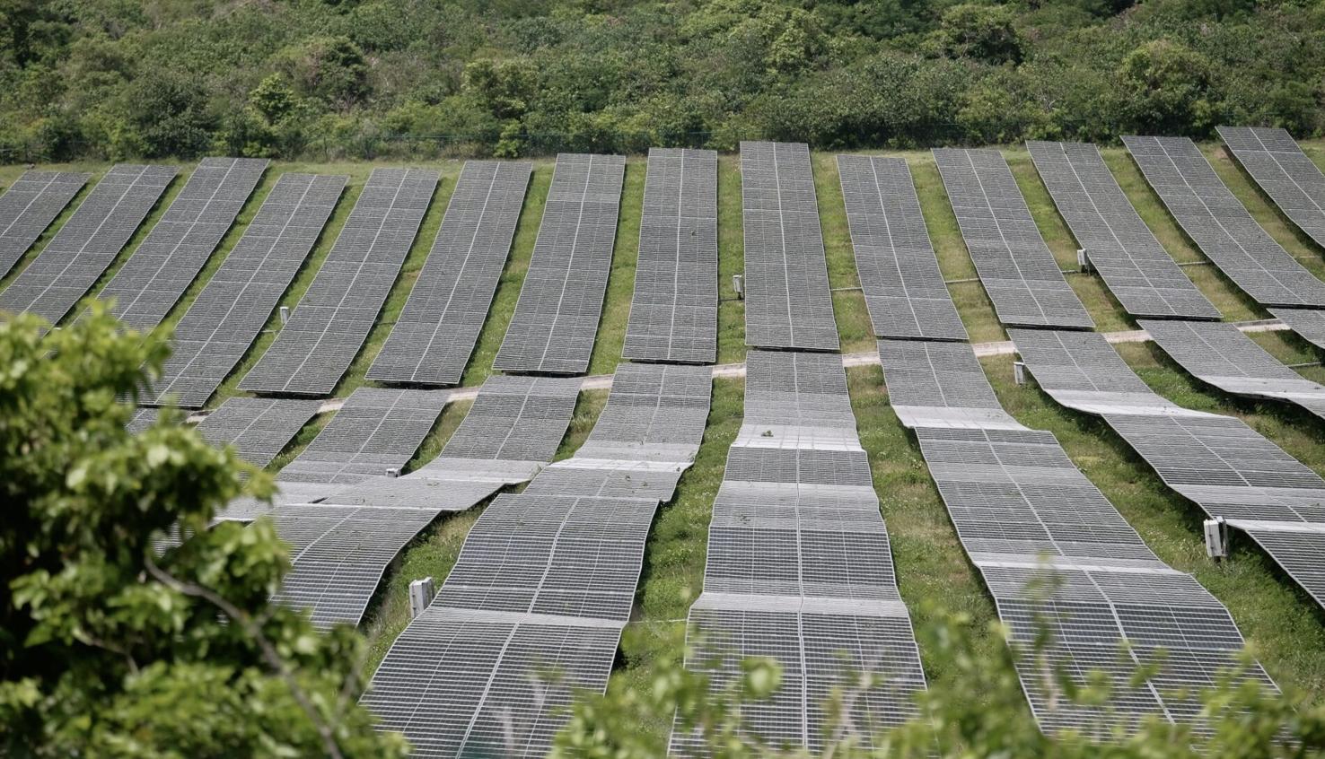 GPA looking at more contracts for renewable energy projects | Local ...