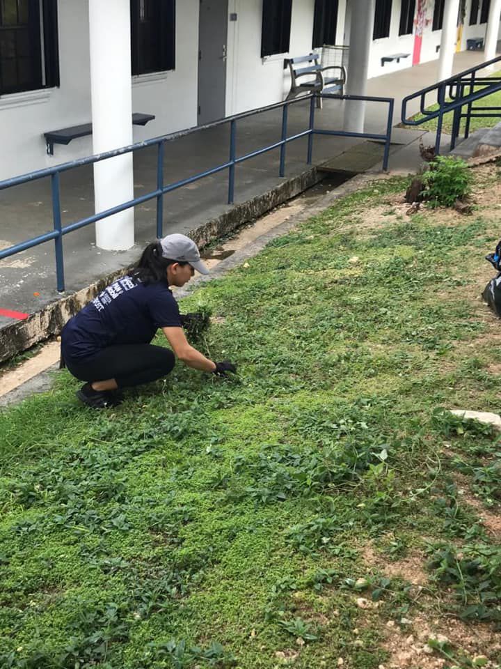 AAFB volunteers help out at Jose Rios Middle School | Guam News ...