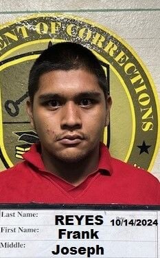 Remote testimony, deposition sought from former medical examiner in 2 ...