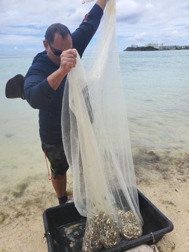 Fishing permits available for ti'ao, mañahak, i'e, atulai, achemson ...