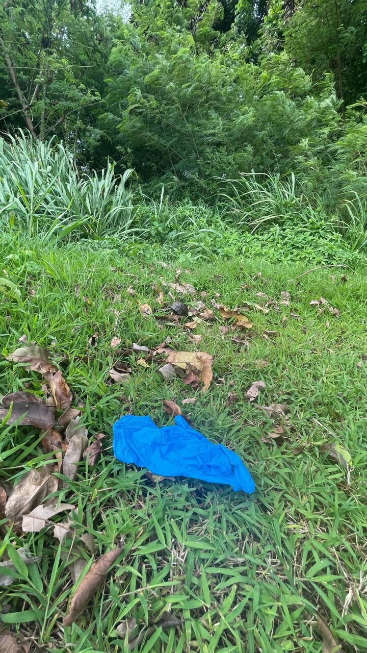 GFD confirms 'decomposed body' found behind Yona gym | Local News ...