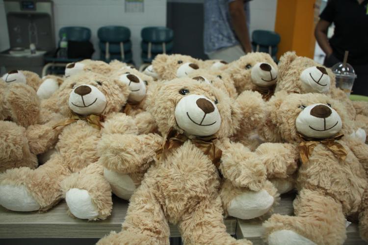 M.U. Lujan students become doctors for a day with Teddy Bear Island ...