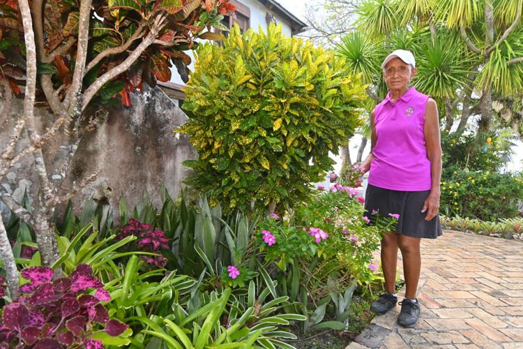 San Dimas' beauty blooms, thanks to ‘Flower Lady’ | Local News ...