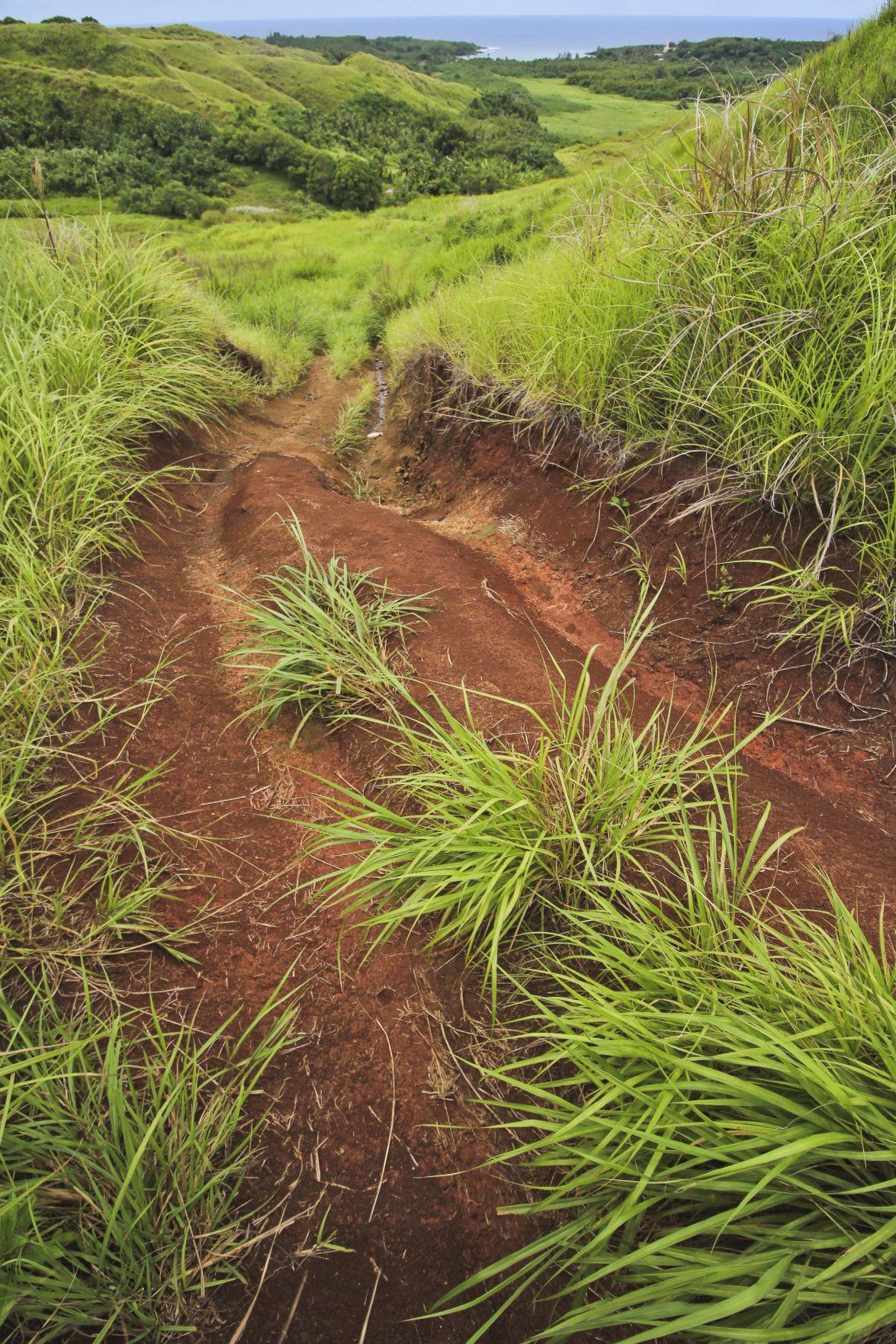 Exploring the Badlands of Southern Guam | Spots on the Rock | postguam.com