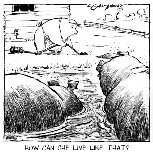 Living with slobs? Here’s how to handle it without going nuts ...