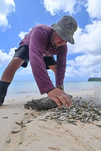 Mañahak run starts Sept. 26 | Local News | postguam.com