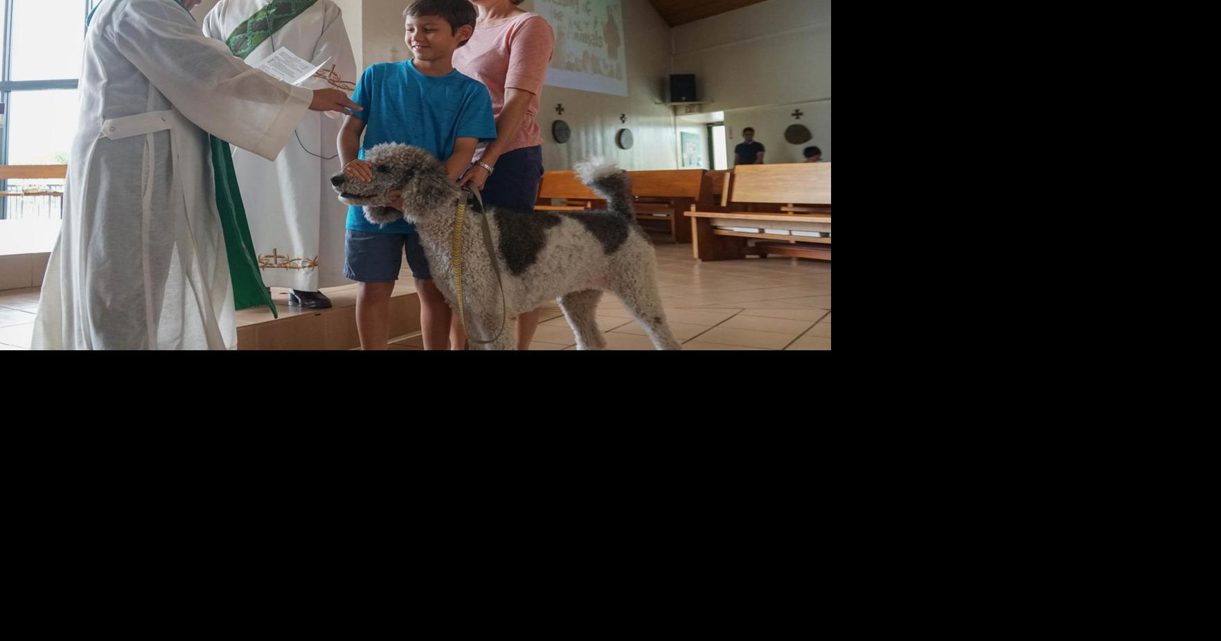 Blessings bestowed on beloved pets | Guam News | postguam.com