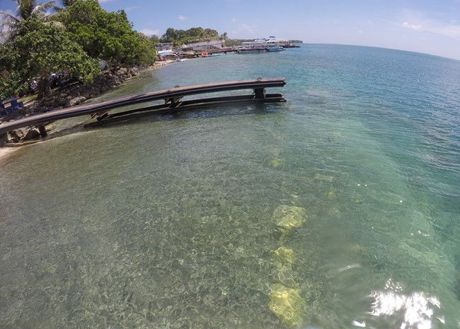 Merizo Pier corals relocated for safety | Local News | postguam.com