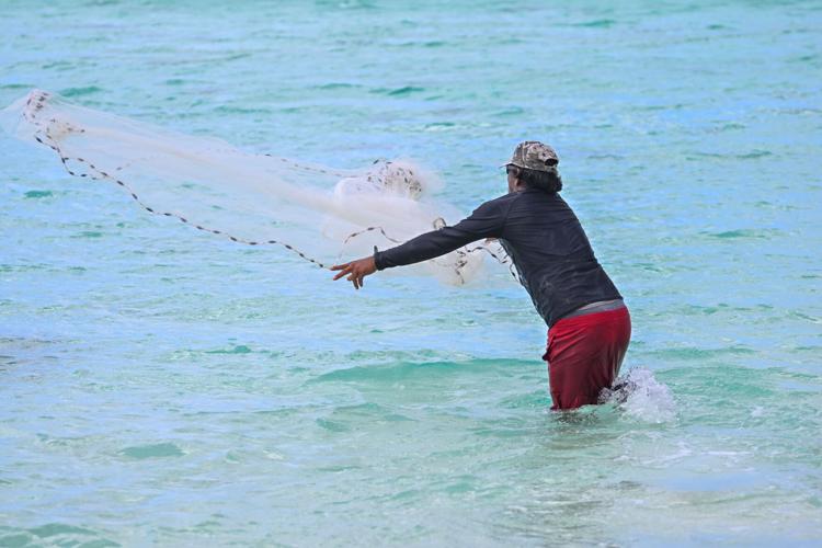 Annual mañahak run draws fishermen | Local News | postguam.com