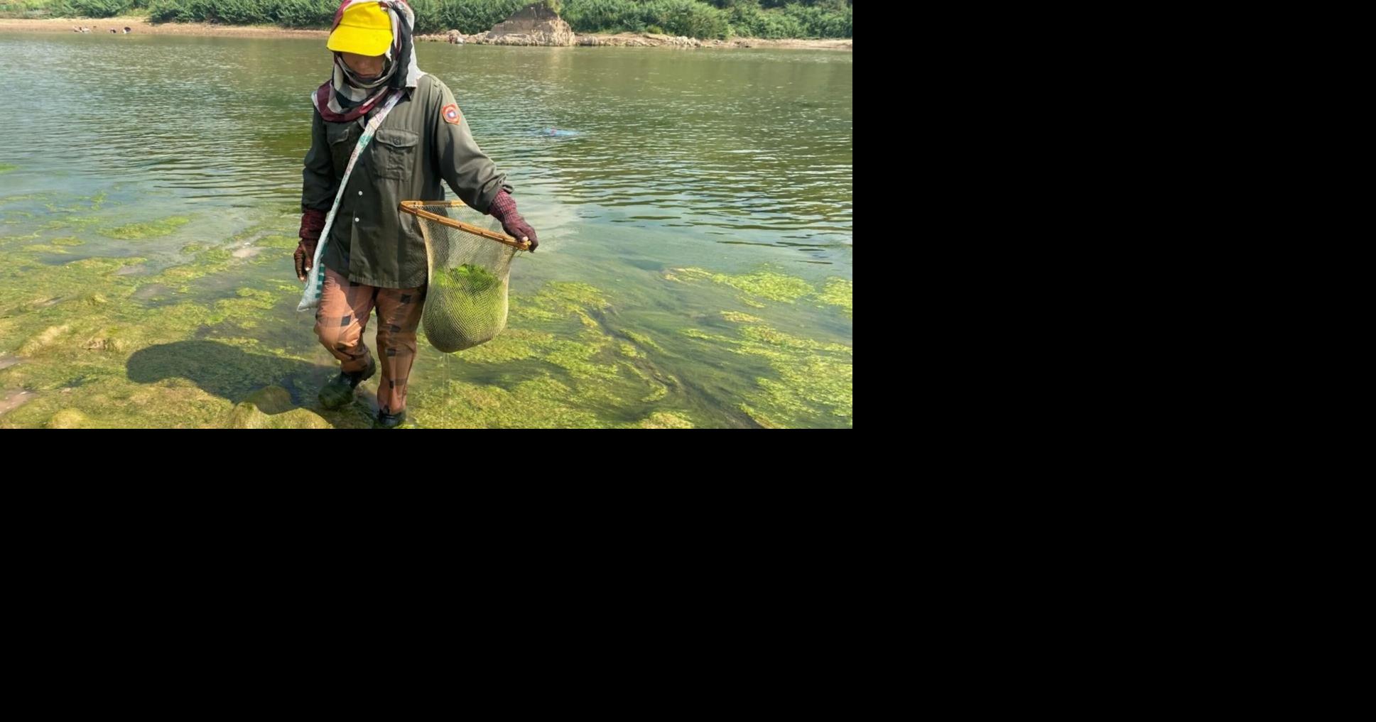 China's Mekong dams turning Thai fishing villages into 'ghost towns ...