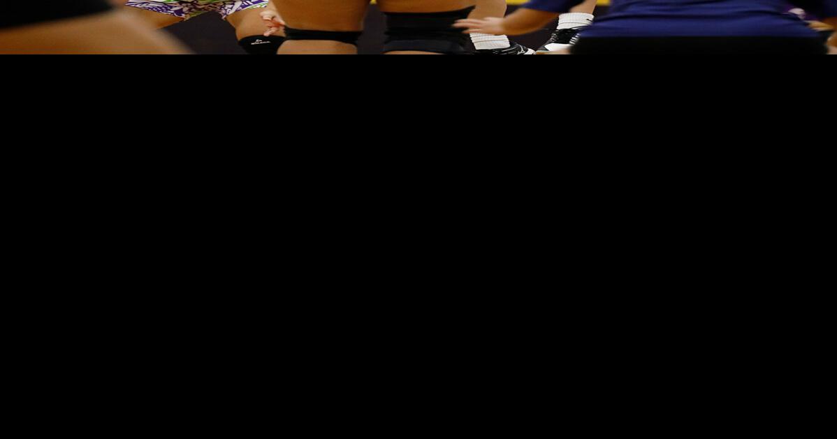 Geckos girls' volleyball perfect 3-0 after dropping Bulldogs in ...