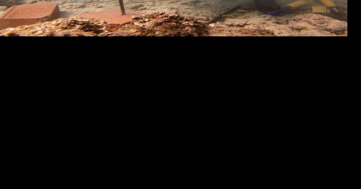 Coral reef first aid | Local News | postguam.com