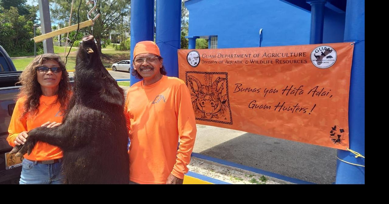 Guam Field to Fork Babui Hunt to cull feral pigs while feeding island ...