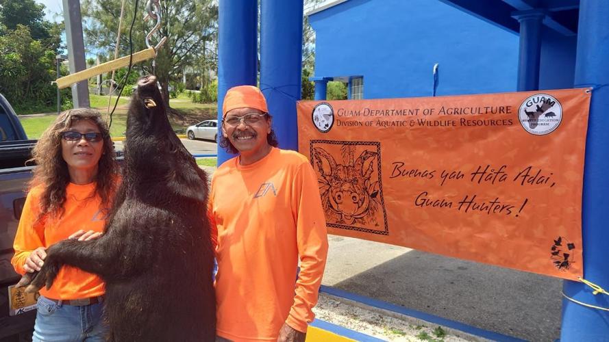 Guam Field to Fork Babui Hunt to cull feral pigs while feeding island ...