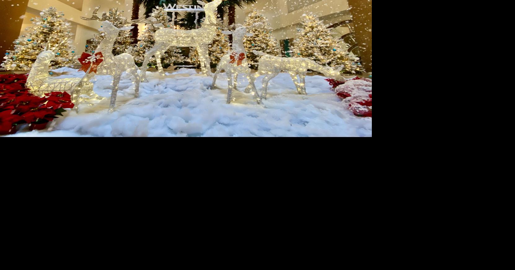 Sparkling reindeer, falling snowflakes greet guests | Guam News ...