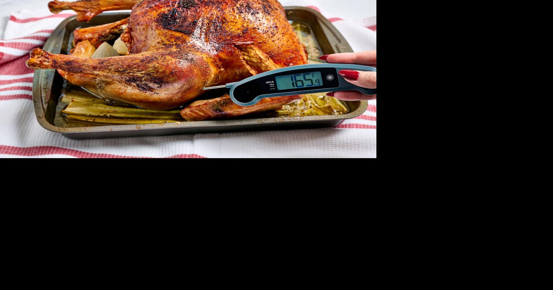 How to check your turkey's temperature and know when it's done | Food ...