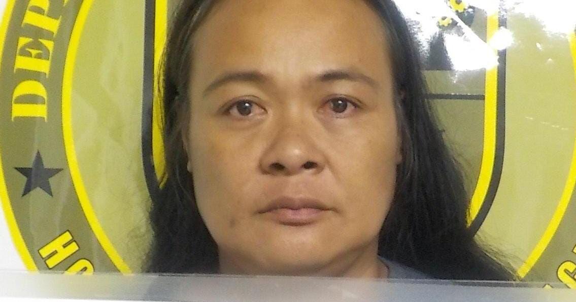 Woman accused of hindering the capture of ‘dangerous individual ...