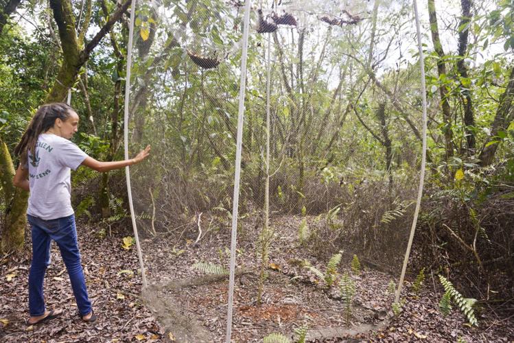 Planting seeds of change | Lifestyle | postguam.com