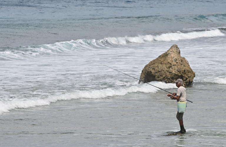 Guam’s fish are disappearing; island scientists now have data to show ...