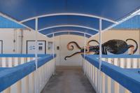 UOG Marine Lab's award-winning team fights to preserve Guam's coral ...