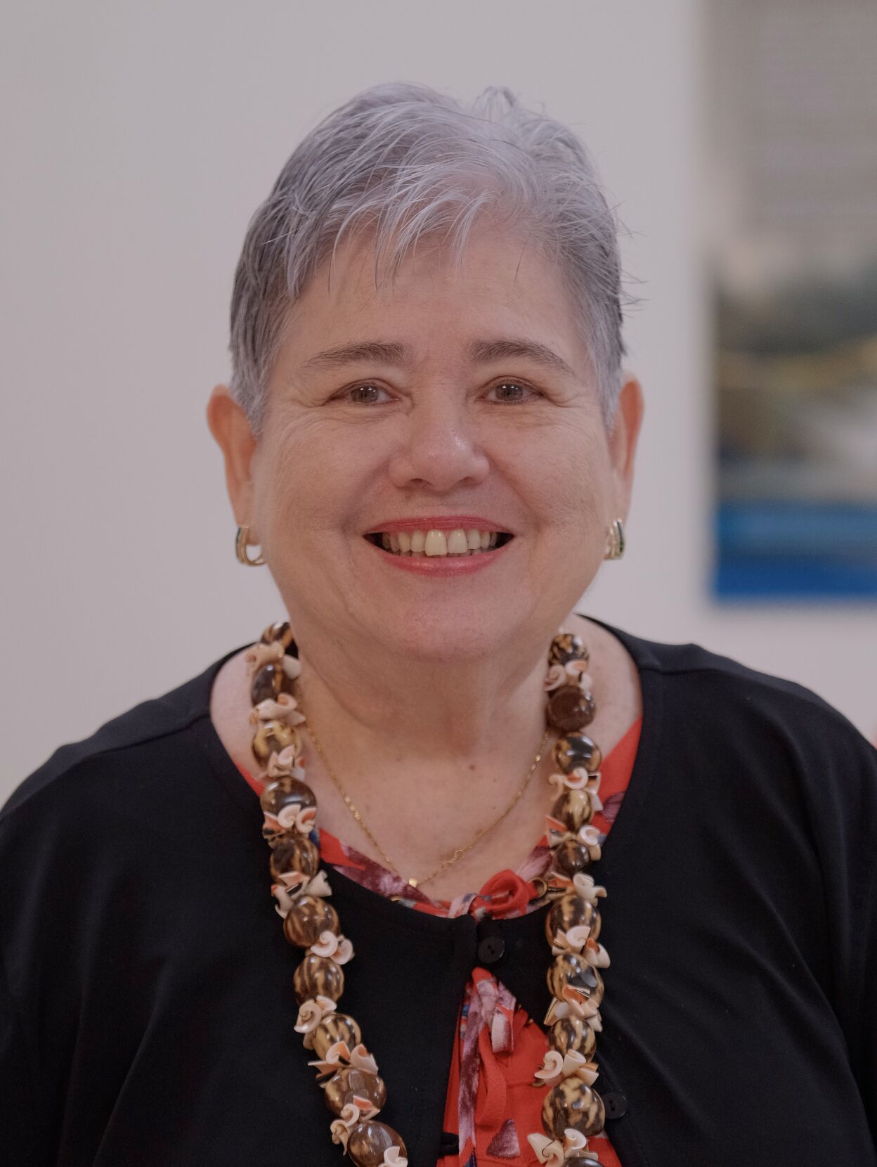 Commission on CHamoru Language launches new resources to preserve ...