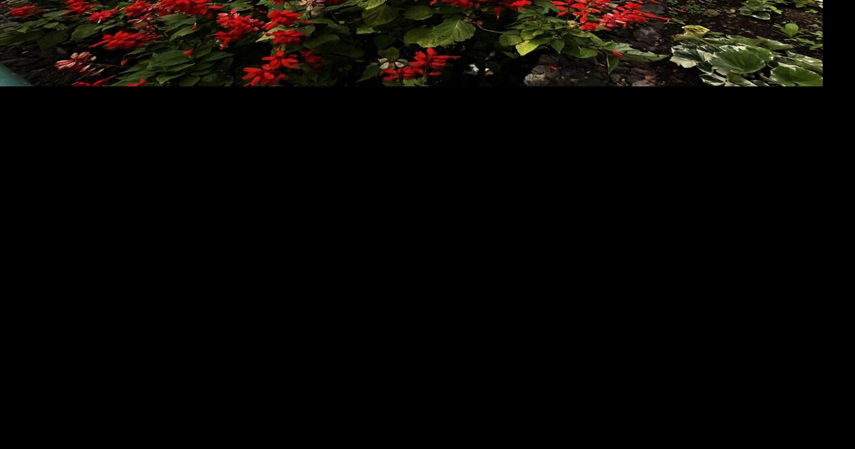 Now that Madeira is easier to get to, it makes for a great family ...