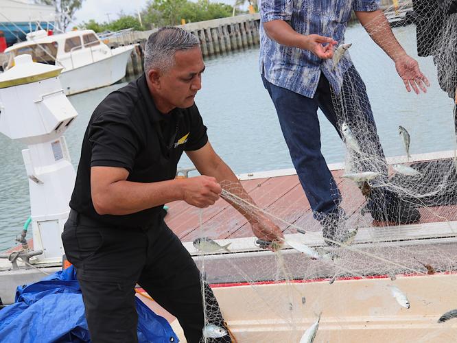 Fishing tradition clashes with enforcement | Local News | postguam.com