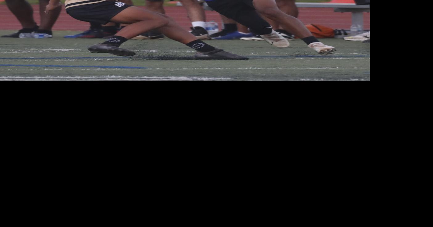 Bulldogs, Friars, Geckos, Panthers boys varsity teams post big wins ...