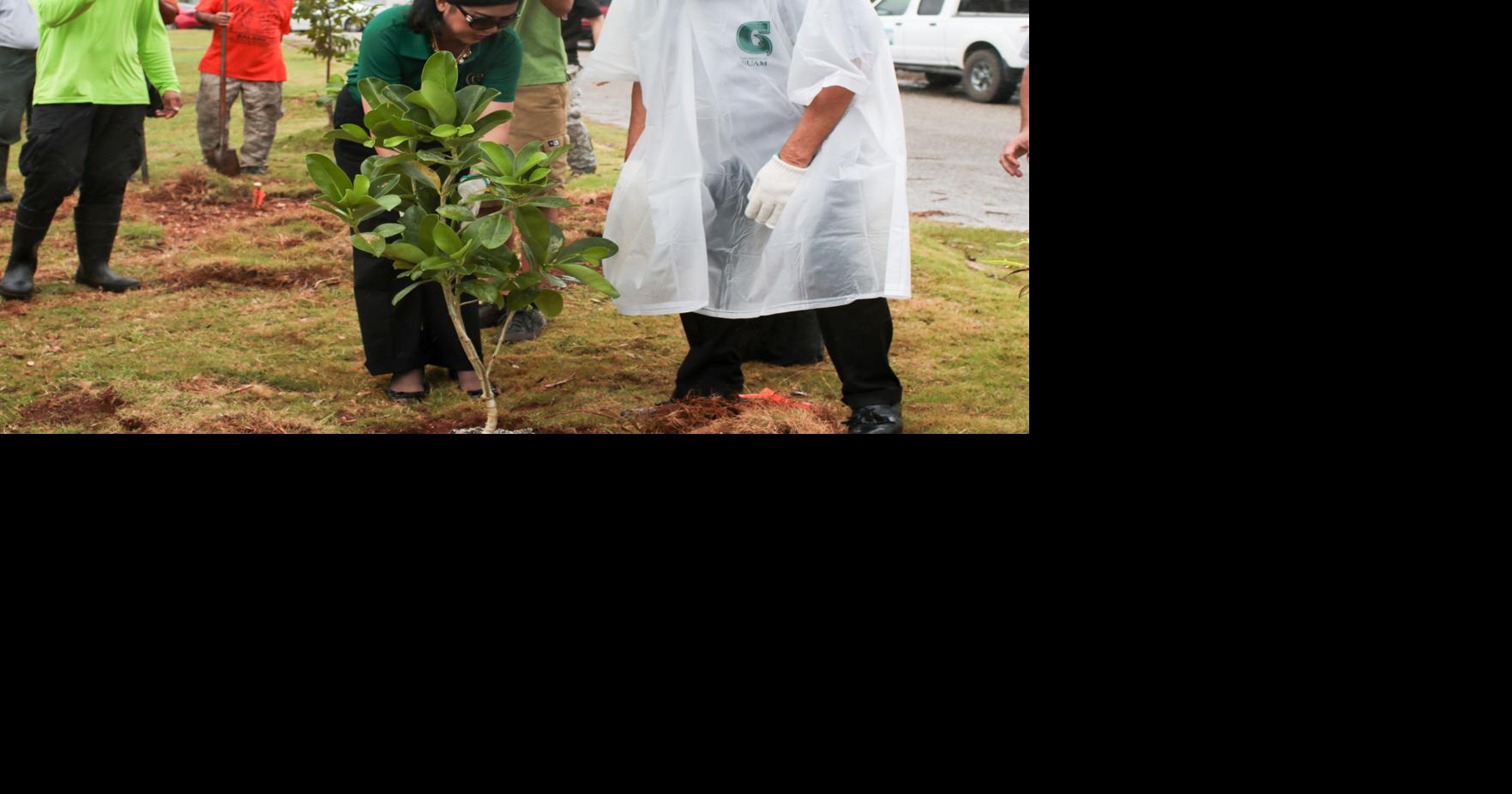 UOG CIS hosts Arbor Day tree planting | Local News | postguam.com