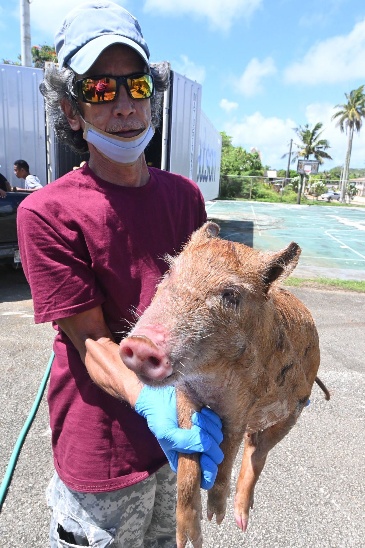 106 pigs given away to families after hunting derby | Guam News ...