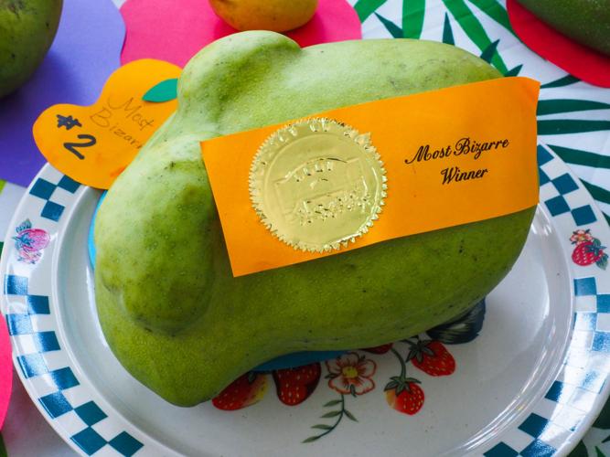 Agat Mango Festival | Local News | postguam.com