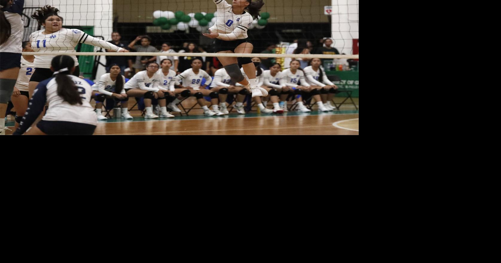 Notre Dame regains volleyball title, beats Academy in 4 sets | Local ...