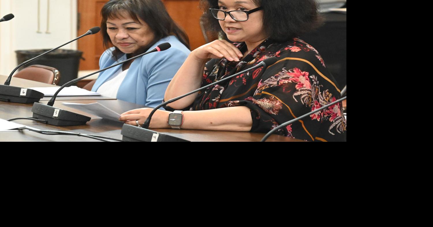 Health committee chair assures GMH oversight will prioritize ...