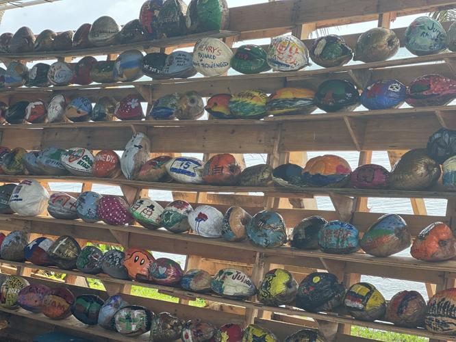 The Malesso' Coconut Christmas Tree is back for its 5th year | Island ...