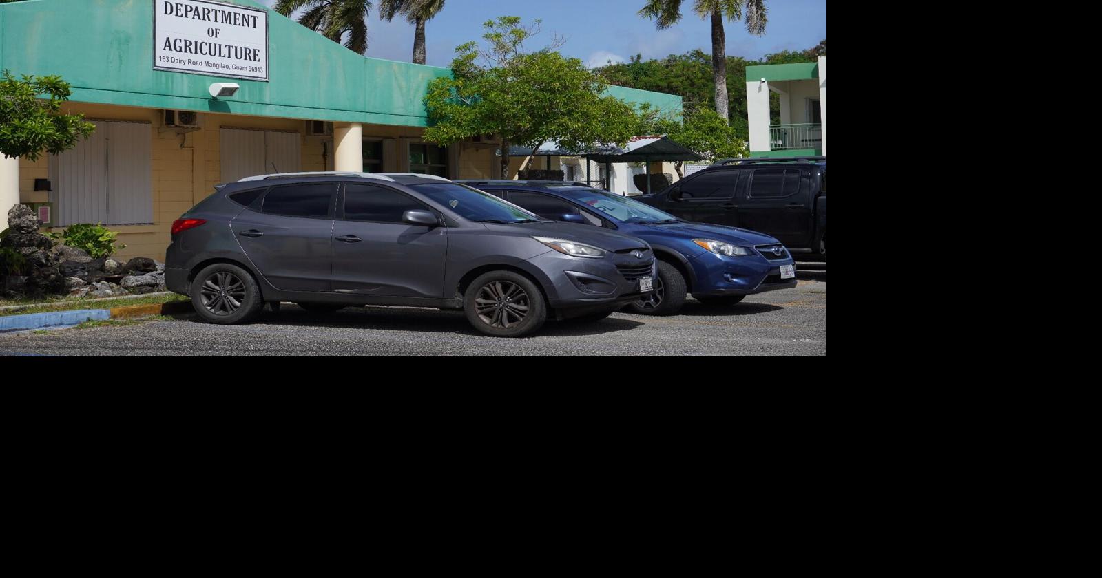 Binadu derby sees fewer hunters this year | Local News | postguam.com