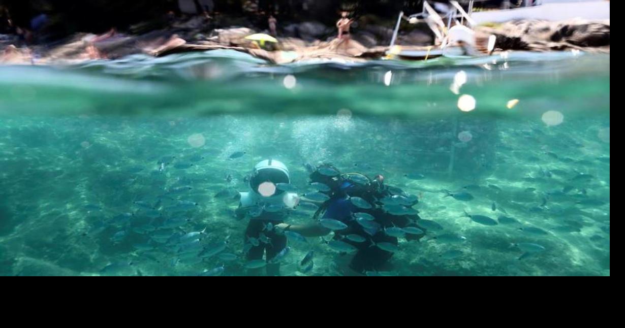 Map of world's uncharted ocean beds takes shape despite crisis | World ...