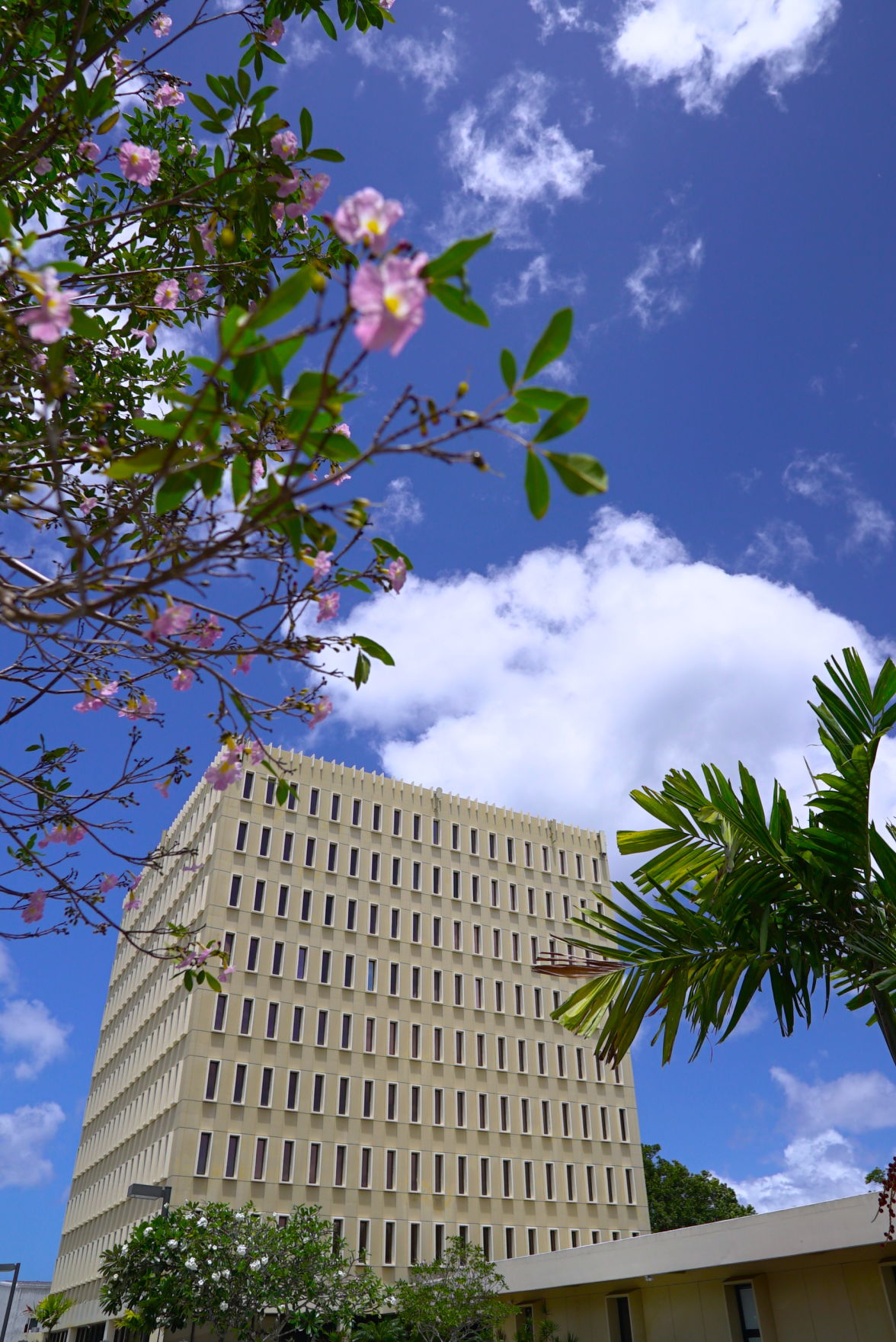 Some GovGuam services to reopen Monday | Guam News | postguam.com