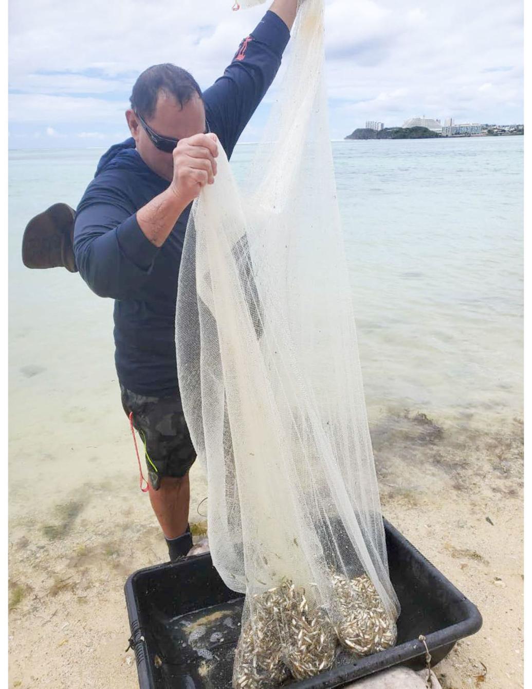 Mañåhak run to start; deer season extended to January | Local News ...