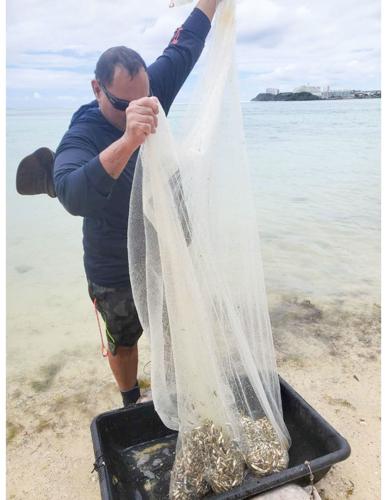 Mañåhak run to start; deer season extended to January | Local News ...