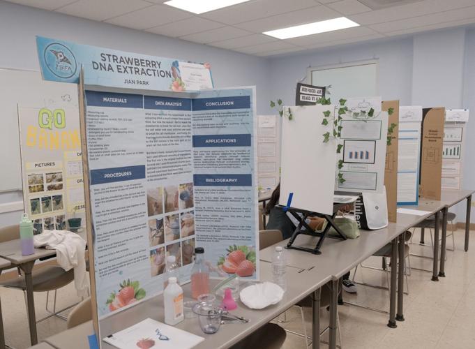 3rd grader’s glider project wins at science fair | Local News ...