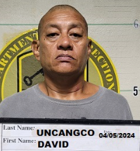 Talo'fo'fo' slaying suspect was released from prison in June | Local ...