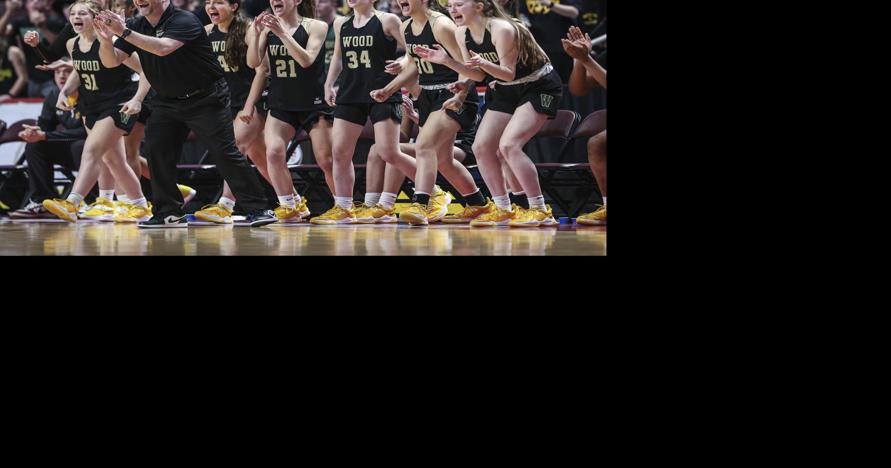 How the WNBA coming to Philly could inspire girls’ basketball players ...